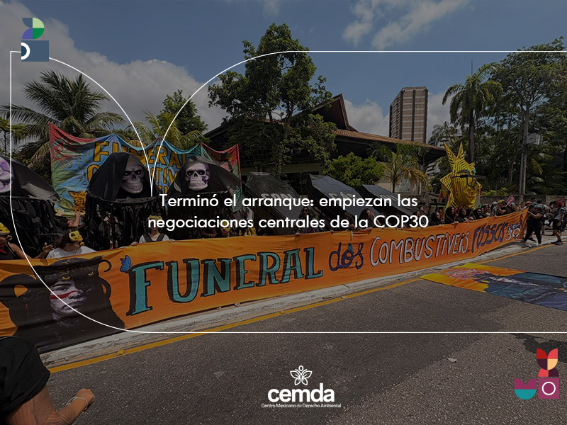 Terminó el arranque: empiezan las negociaciones centrales de la COP30 ...