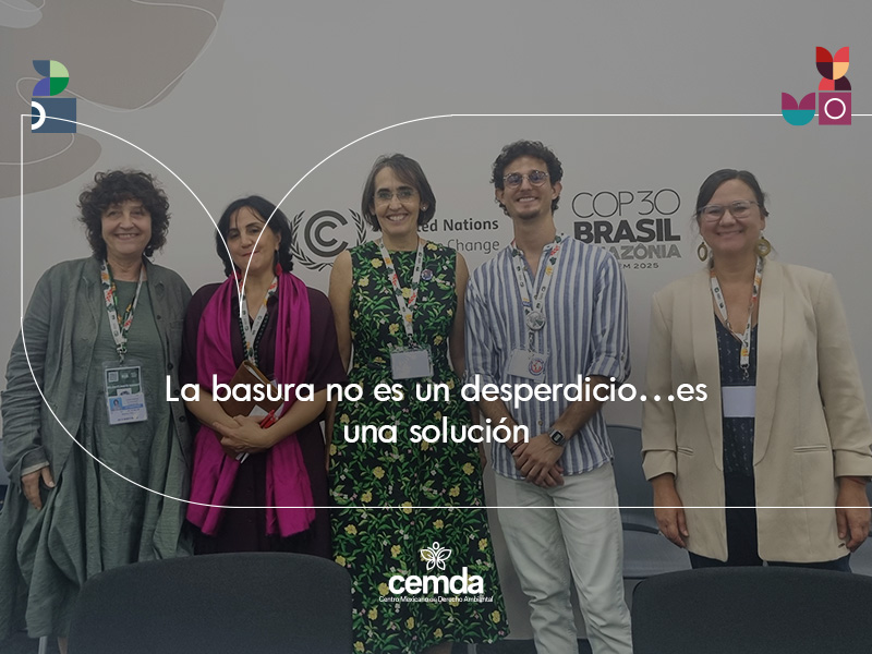 La basura no es un desperdicio…es una solución - CEMDA
